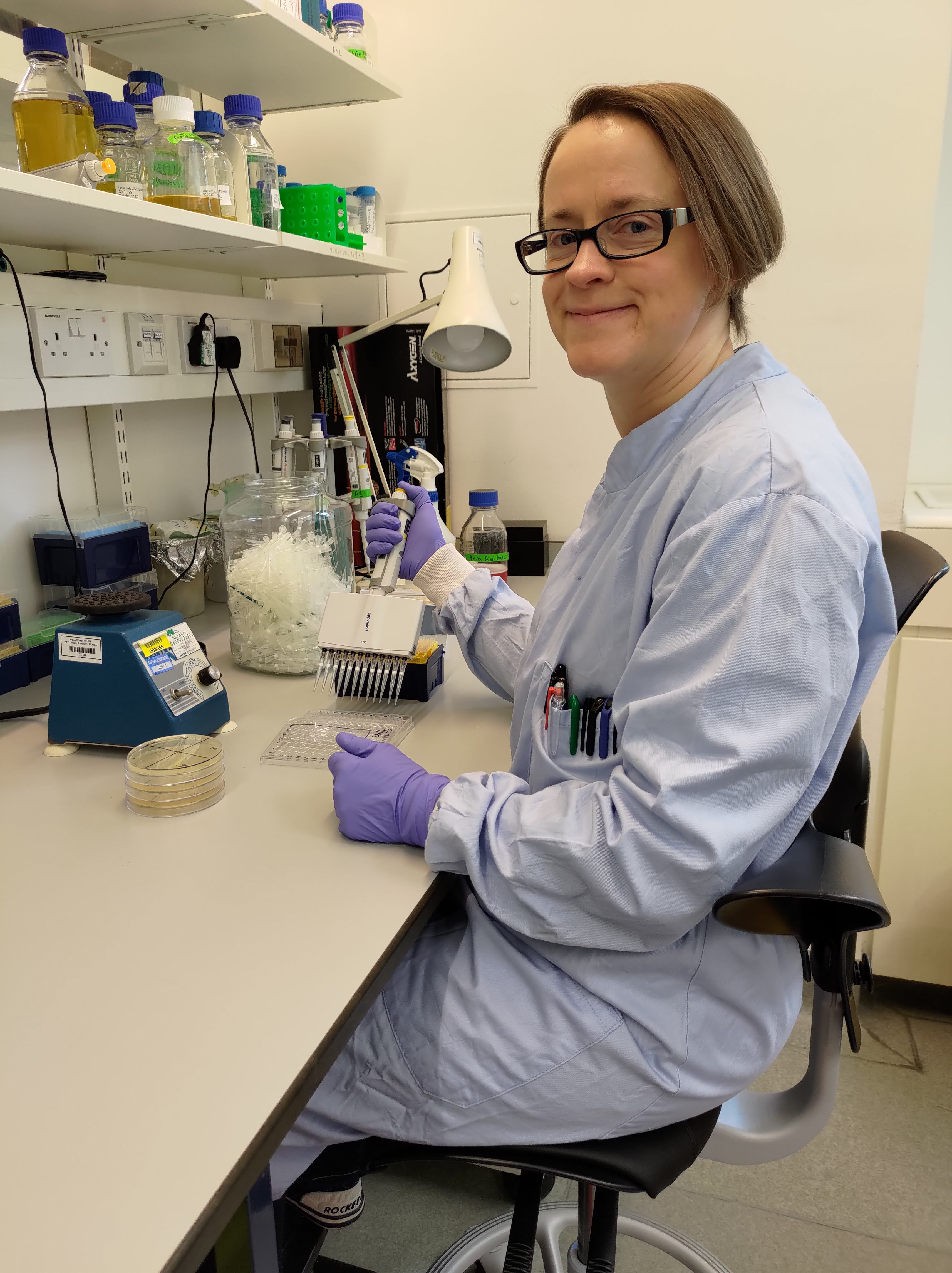 Research – Dr Anne Bishop